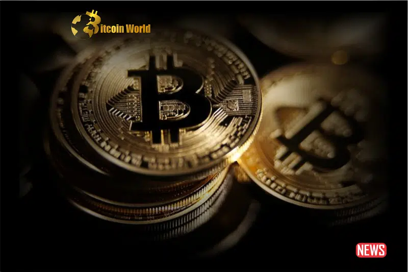 Bitcoin's Trading Range and the $100,000 Milestone: A Look into the ...