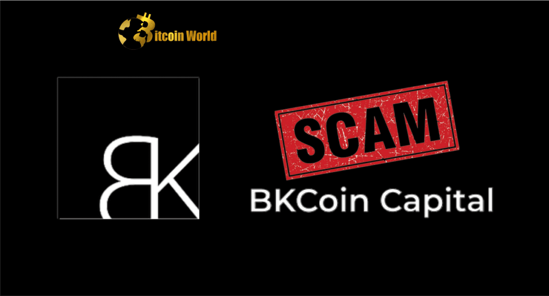 BKCoin And Kevin Kang Accused Of $100 Million Crypto Scam: SEC ...