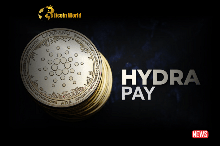 What Is Cardano’s Hydra Pay, and How Does It Revolutionize Micro ...