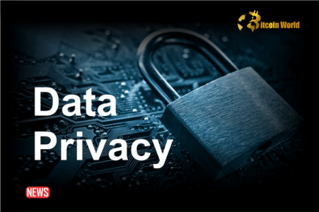 Top Three Data Privacy Issues Facing AI Today - BitcoinWorld