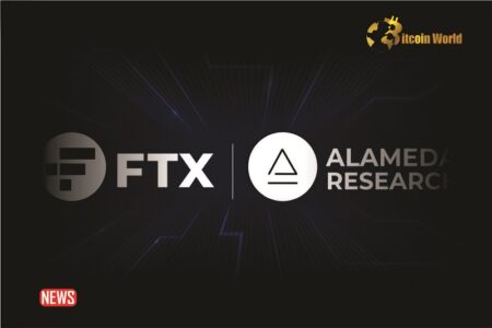 FTX And Alameda Move $23.59 Million In Digital Assets To Top Exchanges ...