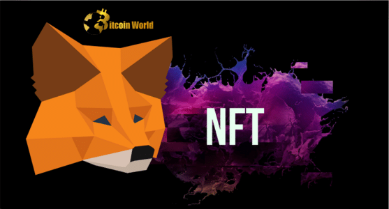 MetaMask Unveils Dedicated NFT Tab: Manage Your Digital Collectibles ...