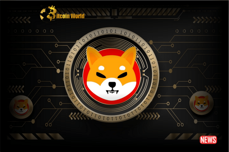 Why Are Ethereum Whales Still Obsessed With Shiba Inu (SHIB ...